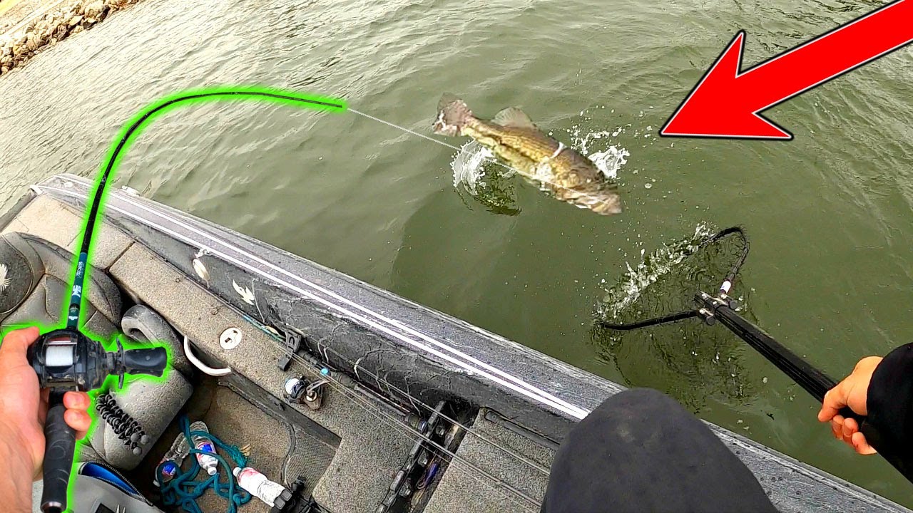 I found a mega bass hiding in this public lake