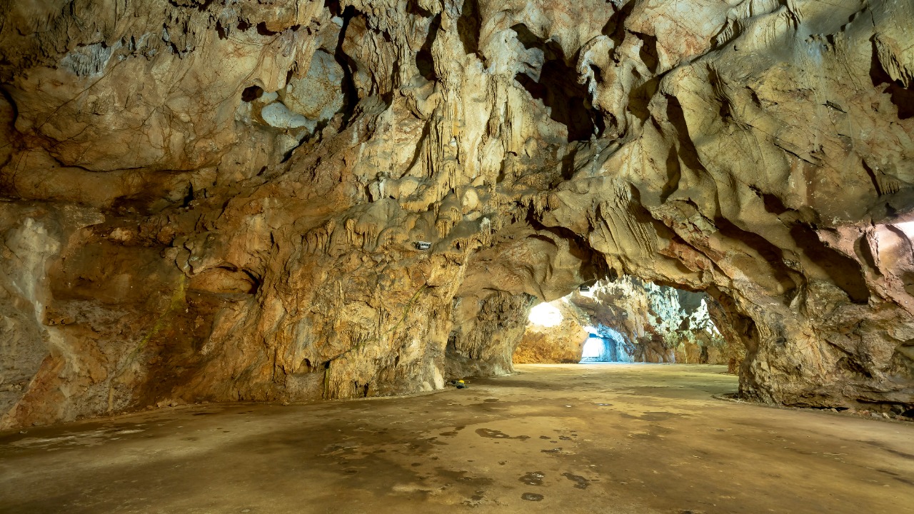 Ancient giant sloths dug massive underground tunnels