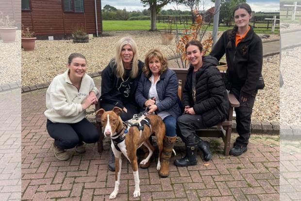 Volunteering day for Warrington dog charity turns into regular commitment