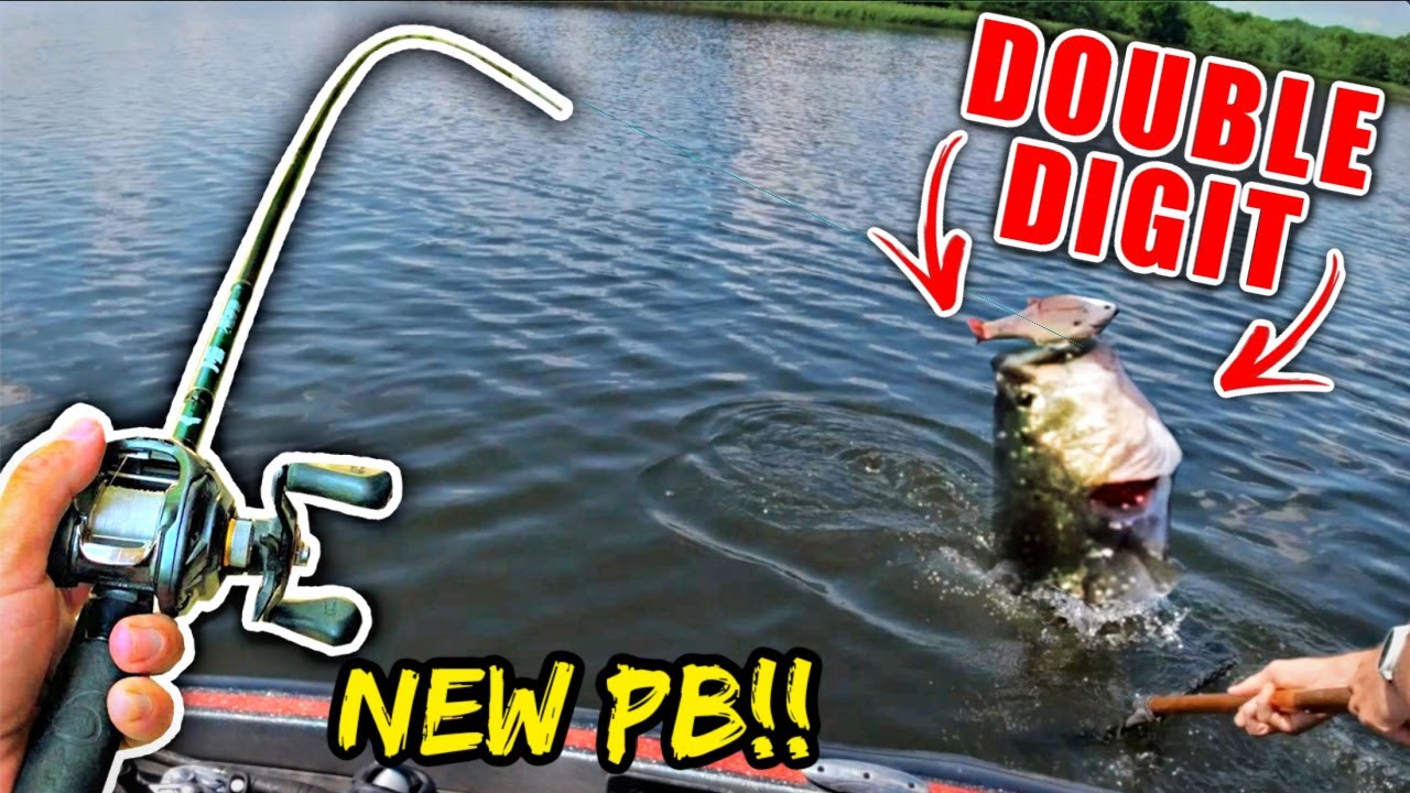 Biggest bass ever caught on giant 10 inch swimbait