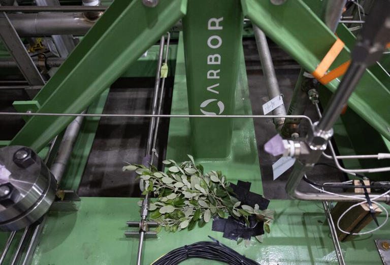 California needs biomass energy to meet its wildfire goals. Its ...