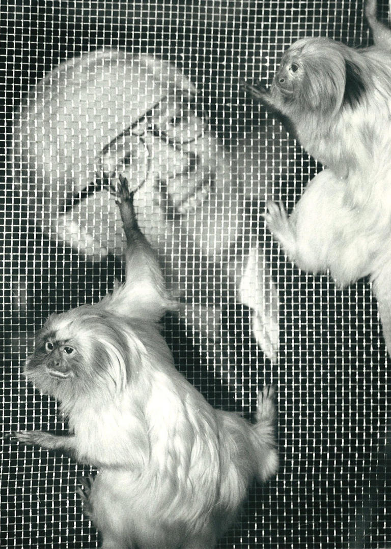 Terry McKane, former Lansing mayor and Sexton teacher, dies at 84