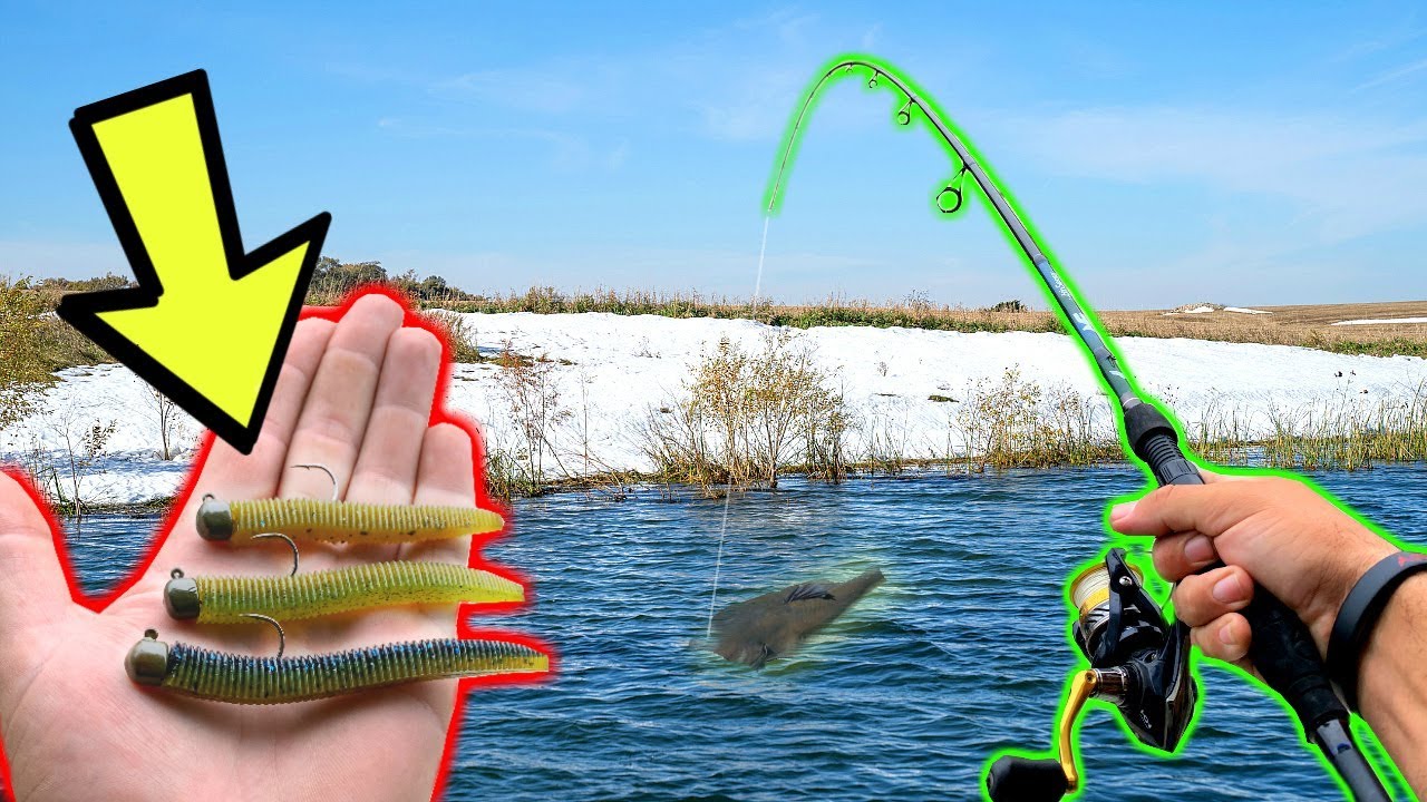 Cold water bass go crazy for this new Ned rig worm