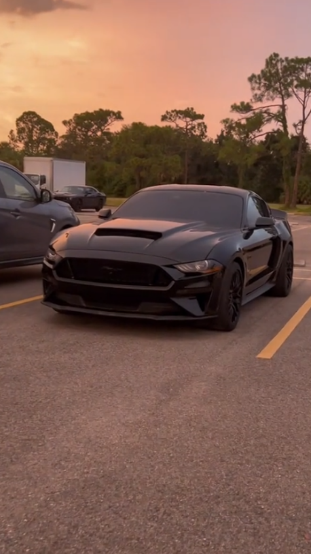 No Filter Needed – Full Beauty of My Mustang and Surroundings