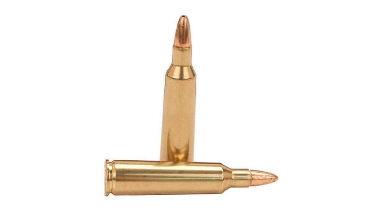 Calibers guides secretly wish hunters would stop bringing