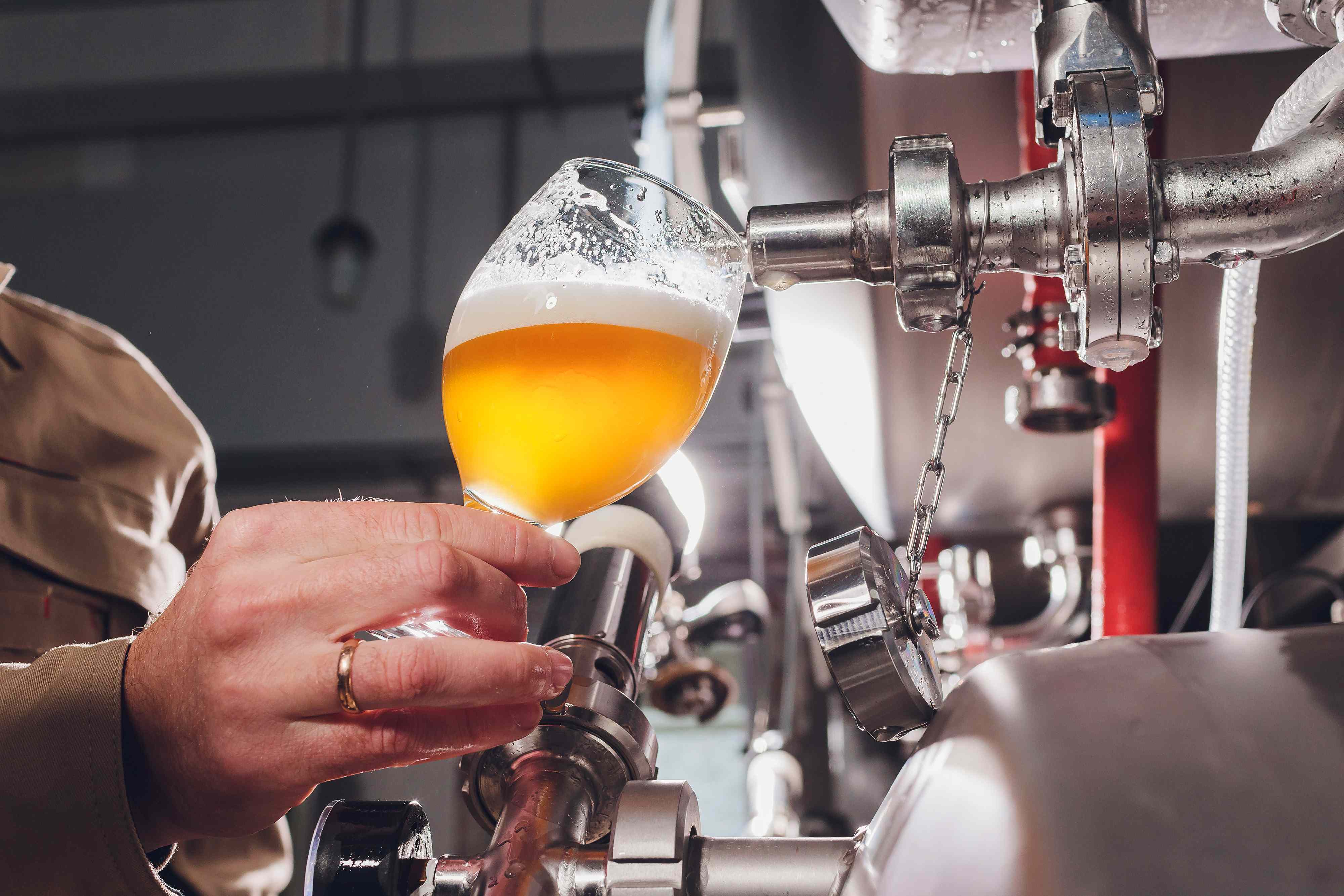 Could Beer Waste Be the Next Big Source of Protein? Scientists Think So