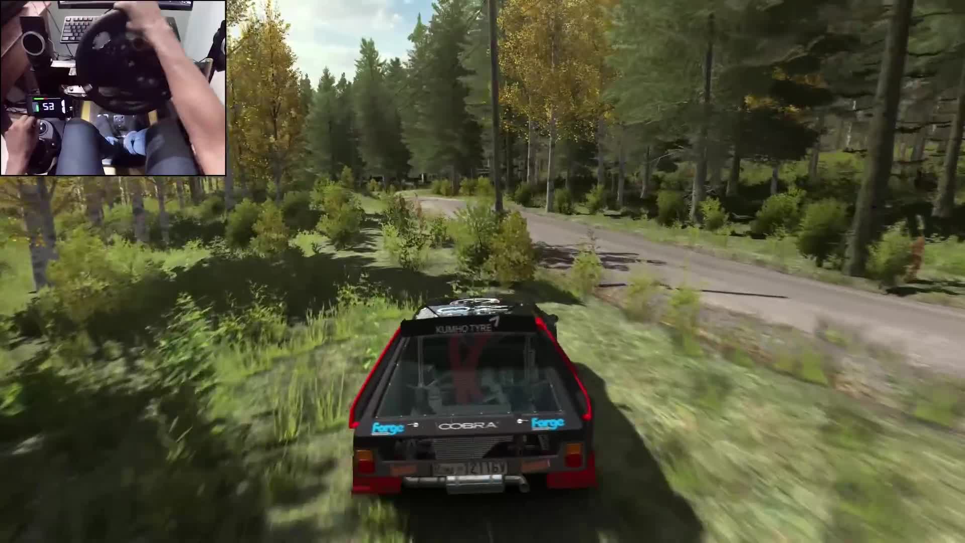 Unleashing the Lancia Delta S4 Beast in Dirt Rally | Logitech G29 Gameplay