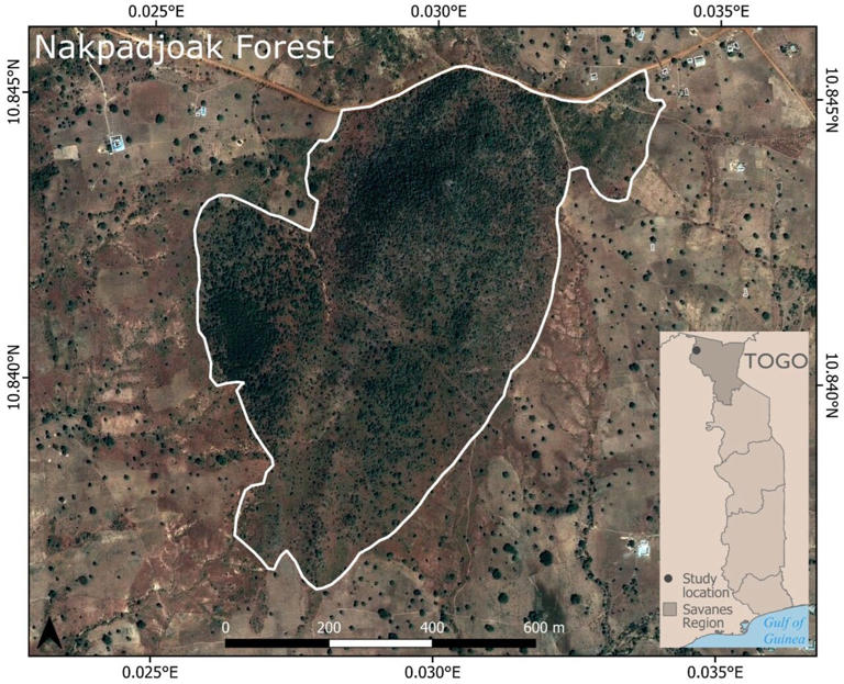 How to save a sacred forest: Resident views on forest degradation and ...