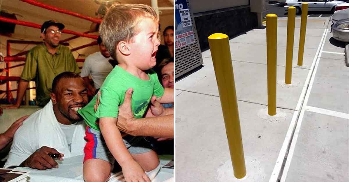 Real-Life Funny Photos That Surprisingly Aren't Fake