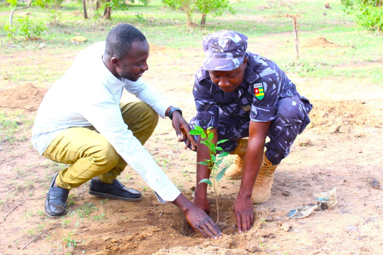 How to save a sacred forest: Resident views on forest degradation and ...