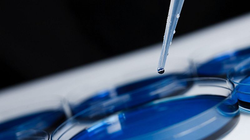 Scientists turned human skin cells into eggs. But it didn’t go smoothly