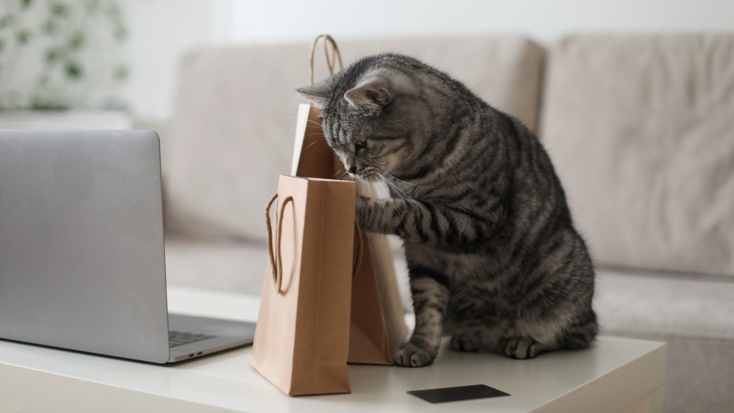 Dow, Zermatt and Nature’s Variety unveil recyclable pet food packaging