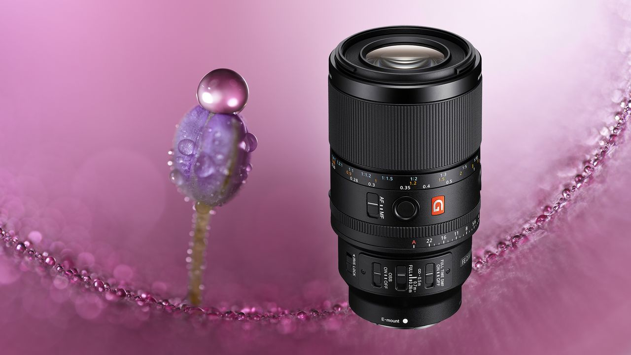 Sony just dropped its first ever macro G Master lens –and it offers up ...