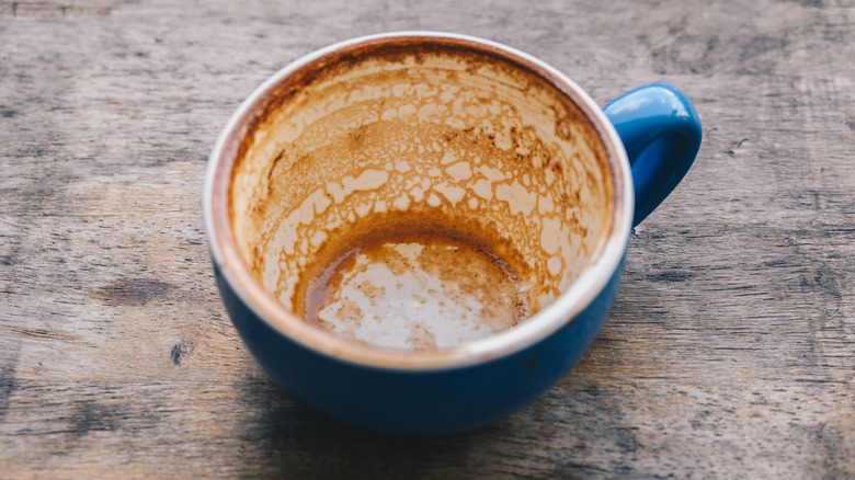 The Unexpected Way To Clean Coffee Stains From Your Mugs