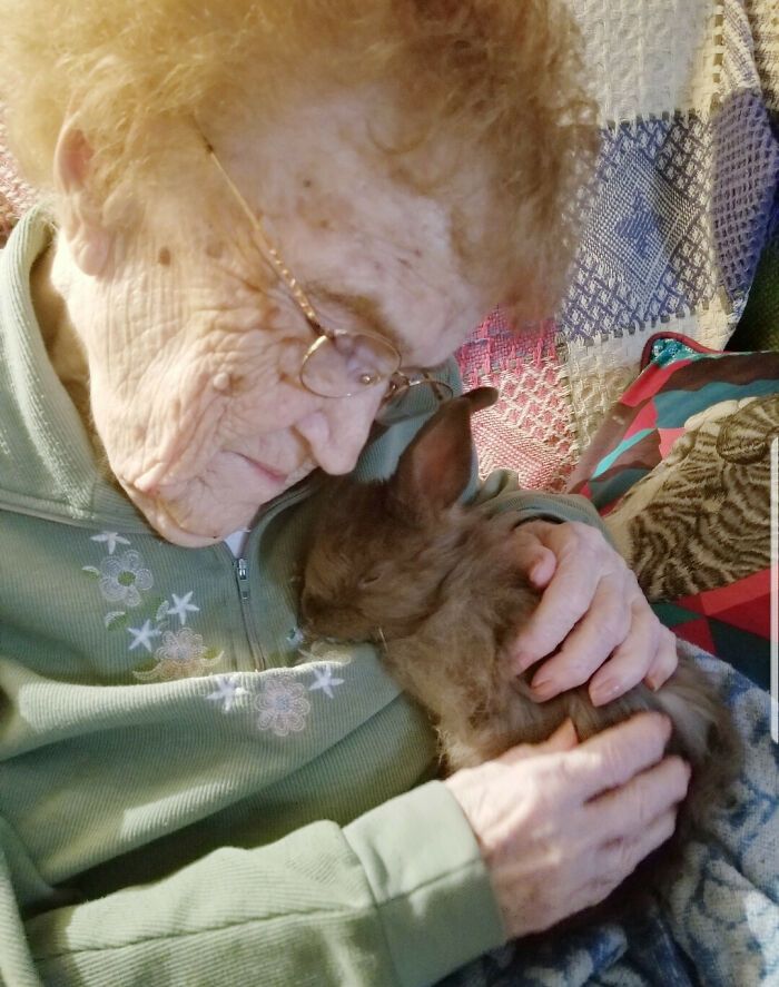 50 Bunnies Whose Cuteness Can’t Be Challenged