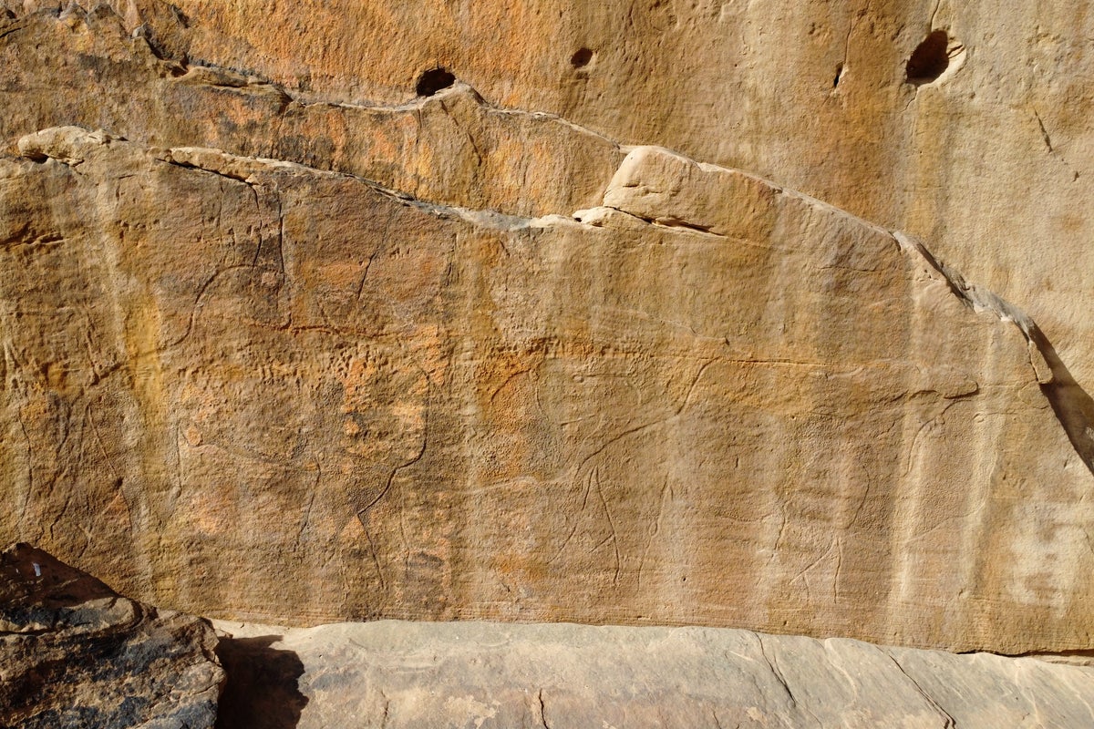 Animal rock art discovery rewrites human history in the Middle East