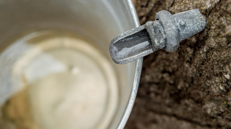 A Vermonter's Guide To Making Maple Syrup