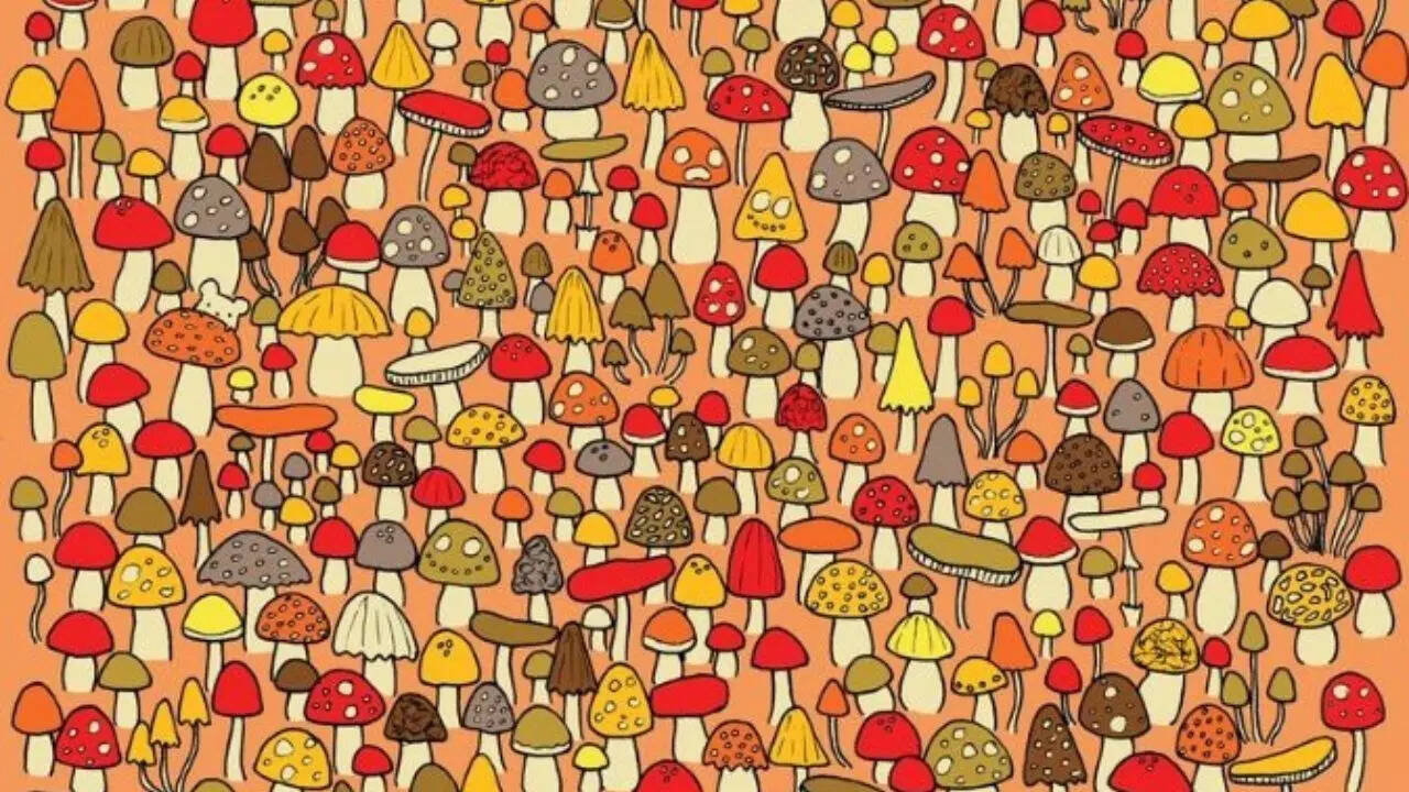 Optical Illusion: Can you spot the hidden mouse among the mushrooms?