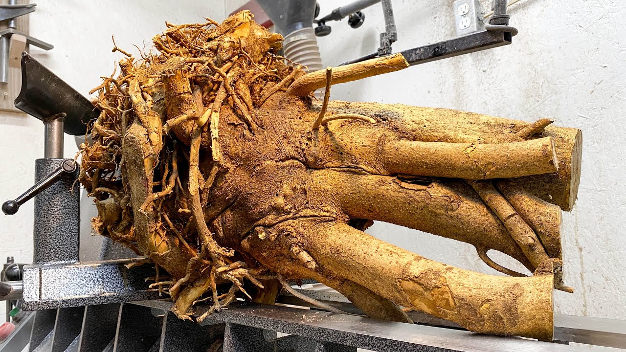 I can’t believe I didn’t see this coming