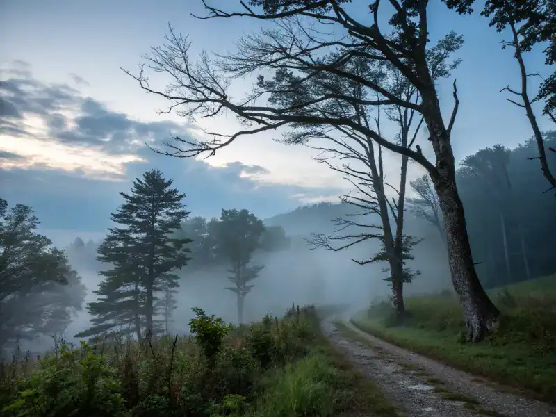 10 Things You Shouldn’t Ignore In the Appalachian Mountains