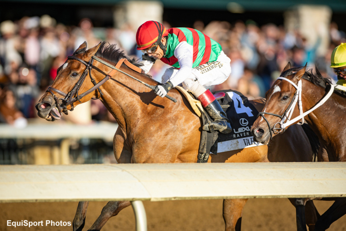 Grade 1 Winner Vahva To Sell At Keeneland November Breeding Stock Sale