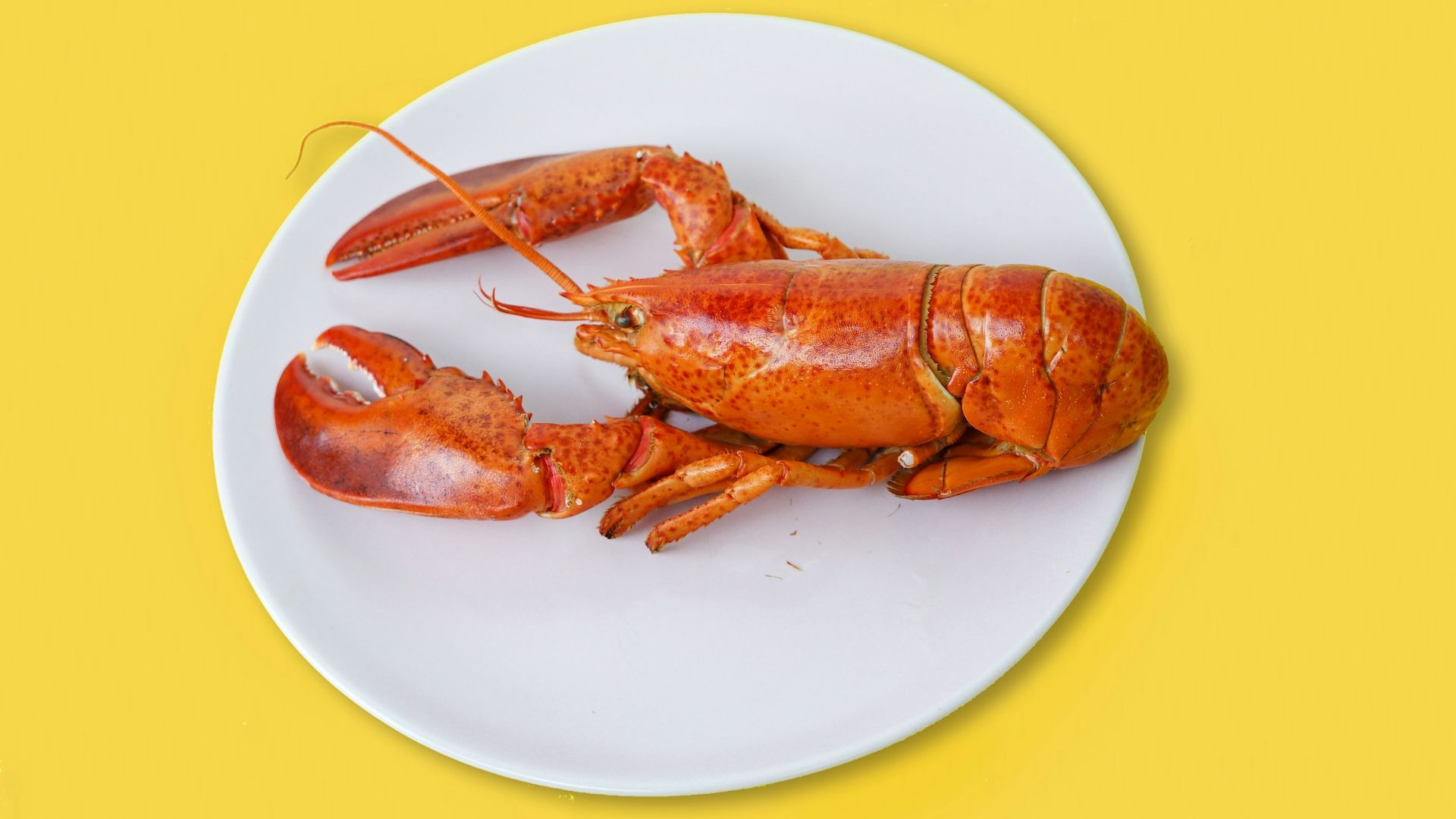 Life On The Other Side: 20 Fancy Foods That Used To Feed The Poor