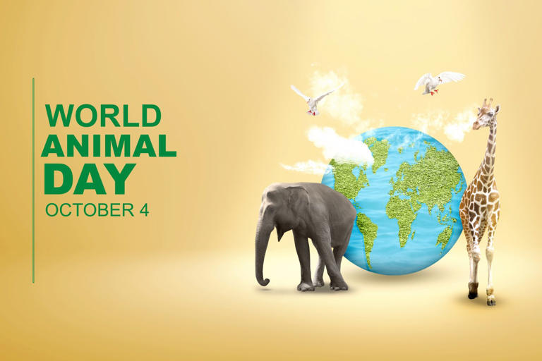World Animal Day Is October 4. Here’s How You Can Participate.