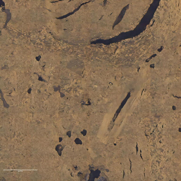 Graphite's natural pores shown to have no impact on nuclear reactor ...