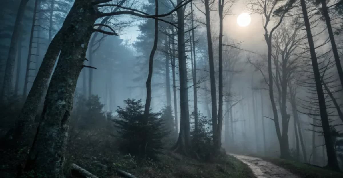 10 Things You Shouldn’t Ignore In the Appalachian Mountains