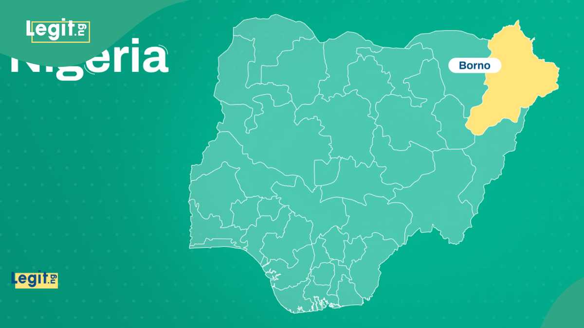 Breaking: Terrorist attacks popular mosque in Maiduguri, video of ...