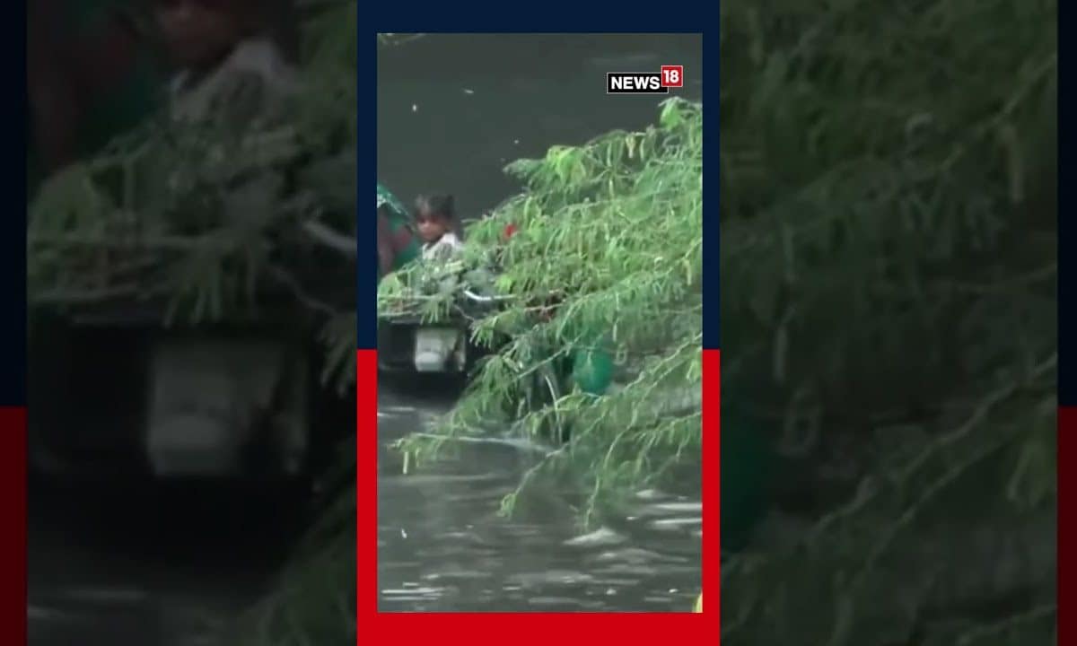 Delhi Rains 2025: Zakhira Underpass Severely Waterlogged | Major ...