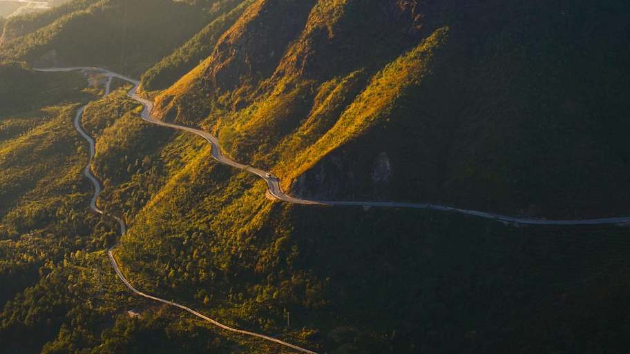 Why Physical Activity leads to Mental Resilience