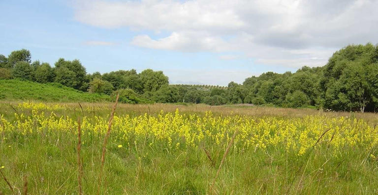 Honouring the generosity of Barbara Overton and Melvin Flint at the ...
