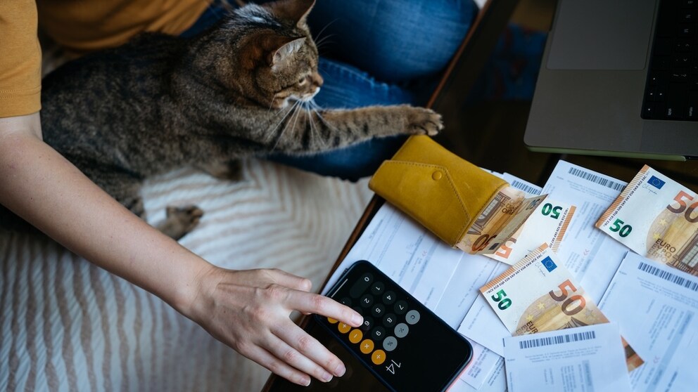Cat Owners Donate More Frequently and Diversely Than Dog Lovers