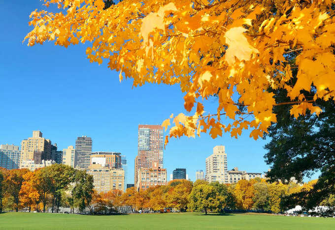 7 Best Countries To Experience Stunning Autumn Colours In October