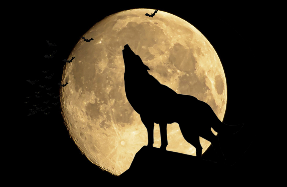 How the moon got its many strange nicknames