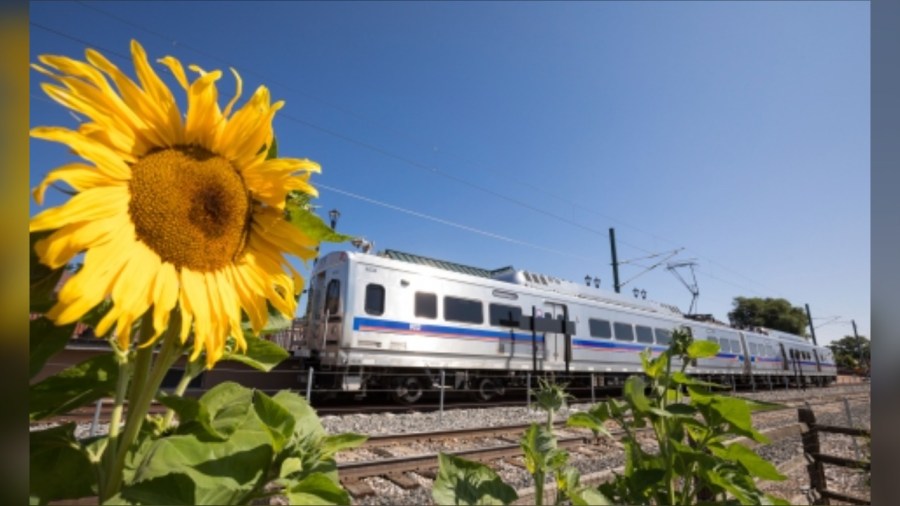 Bus shuttles to replace portion of G Line rail service Oct. 4-5