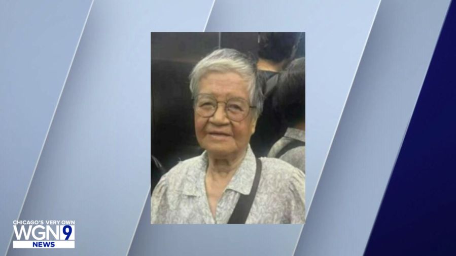 Missing woman last seen on Southwest Side only speaks Cantonese