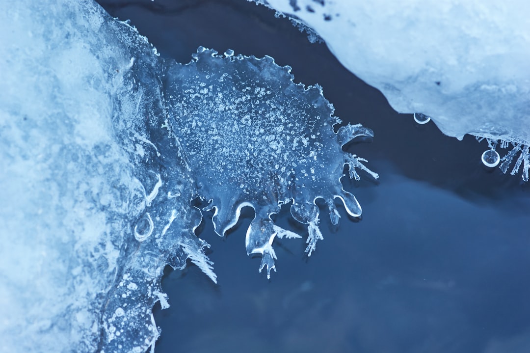 Heat Waves Are Expanding Into Previously Cool Regions (Forecasts Show)