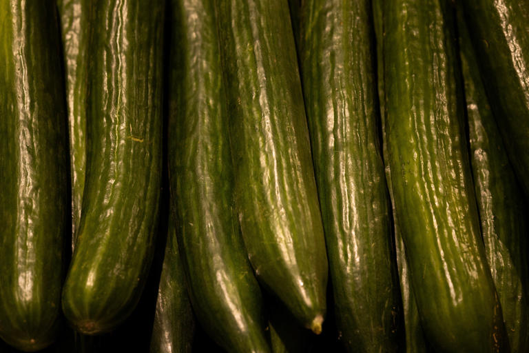 Cucumber recall update as FDA sets highest risk level