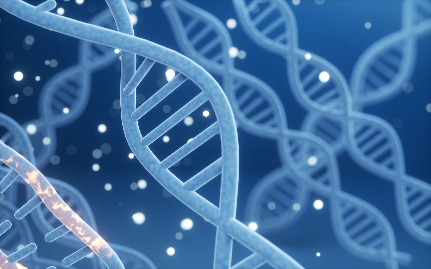 Everything You Need To Know About Genetic Testing for Breast Cancer: A ...