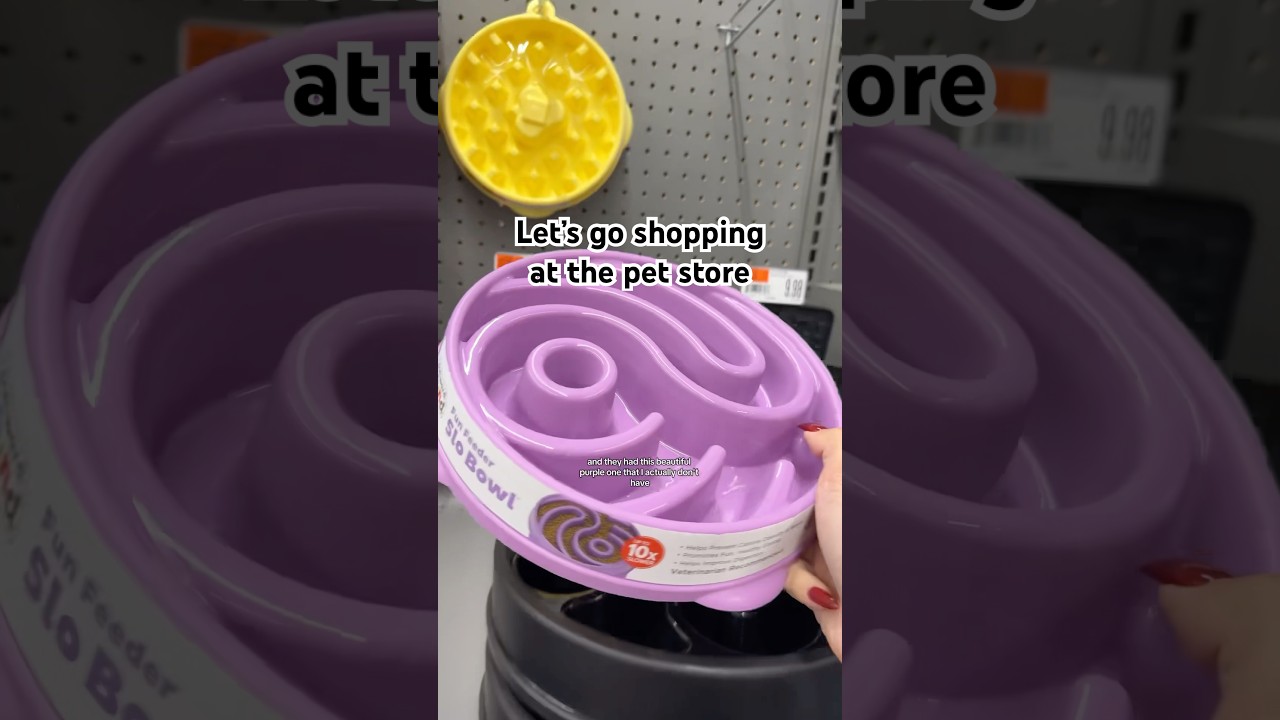 Let’s see what treasures we can find at the pet store