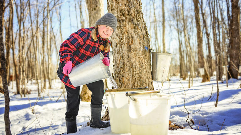 A Vermonter's Guide To Making Maple Syrup