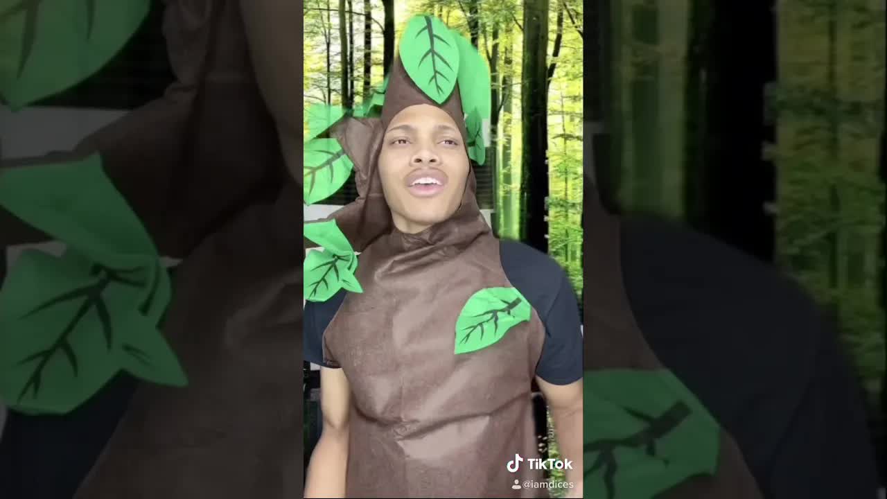 How trees choose their poses