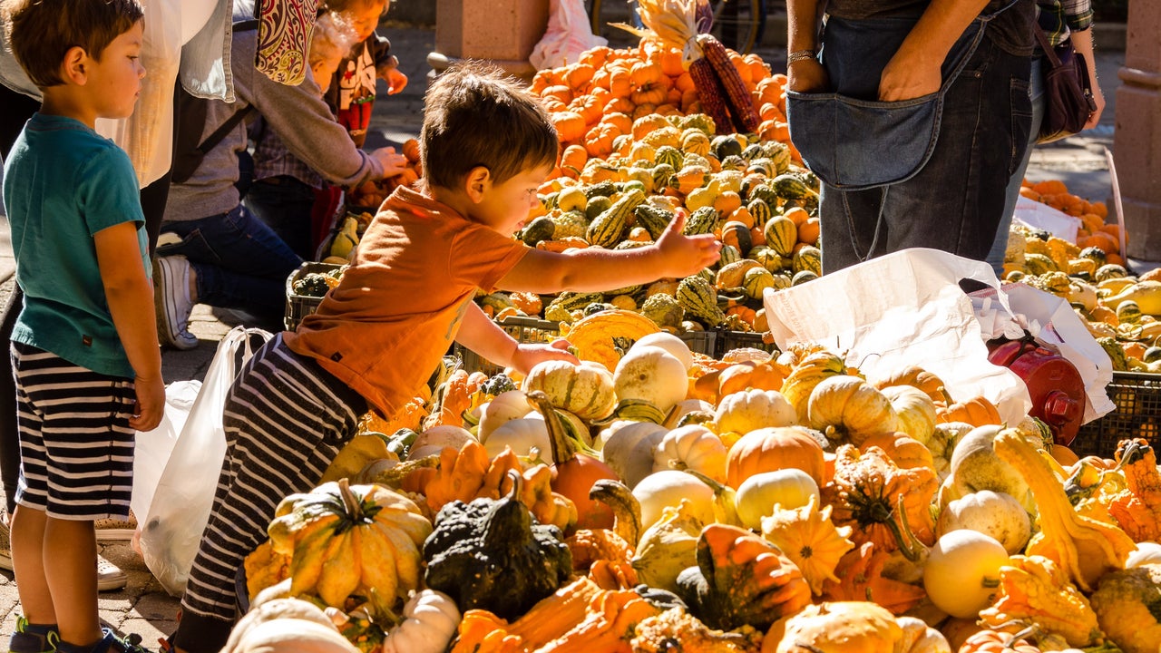 Chicagoland guide to fall things to do: Pumpkin patches, festivals ...