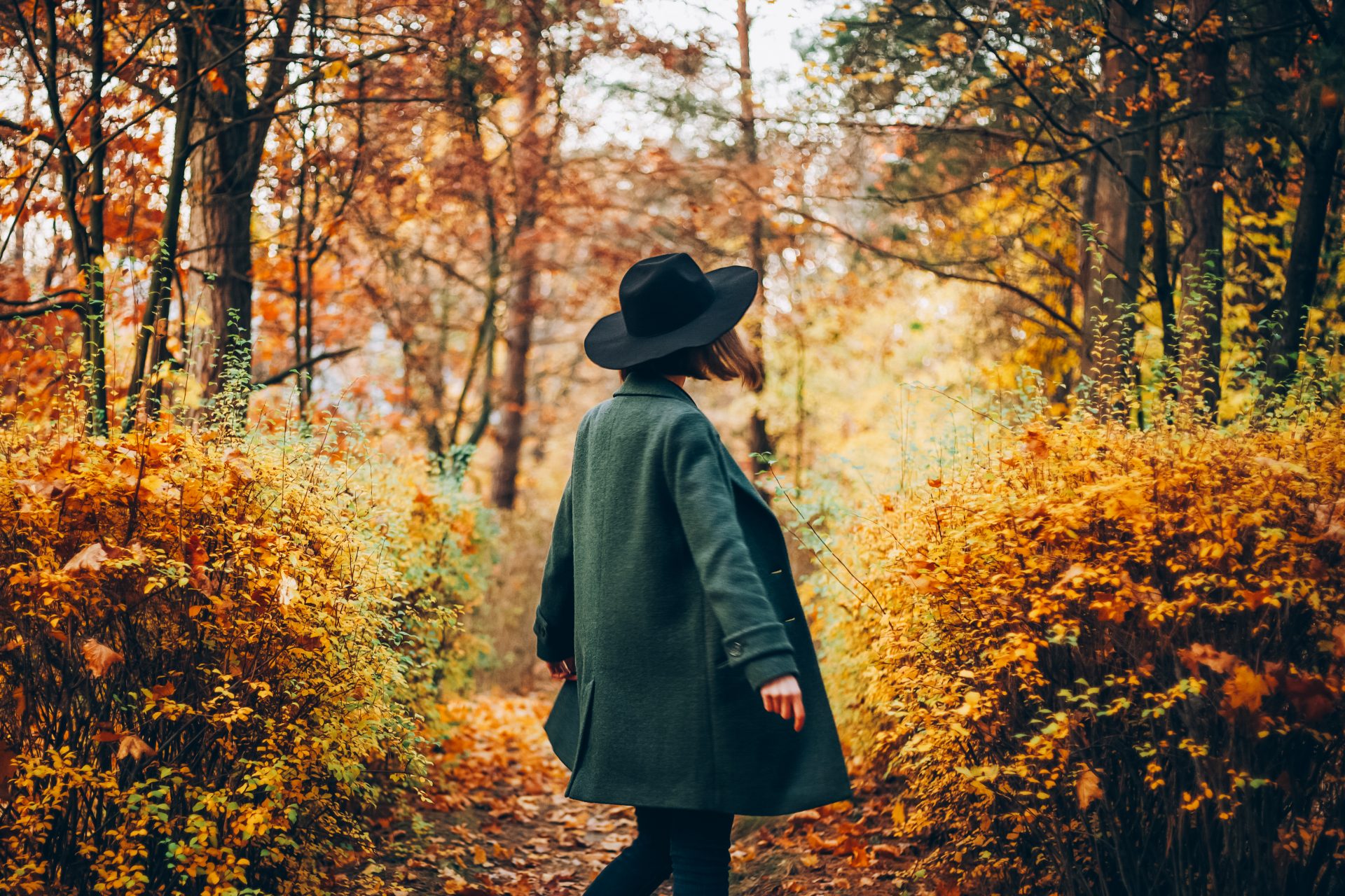 Autumn Horoscope: Here's what the Fall of 2025 has in store