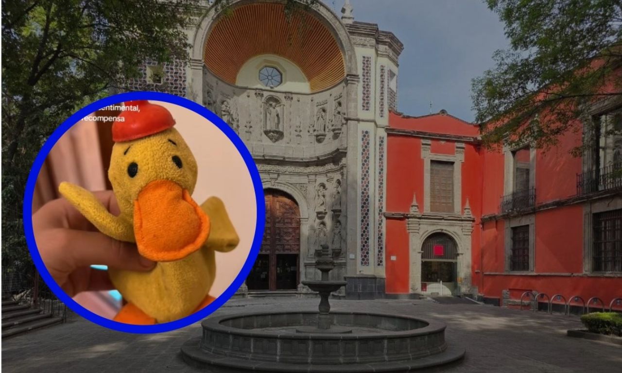 Conoce a Pato, el tierno peluche de apoyo emocional perdido en el Museo ...
