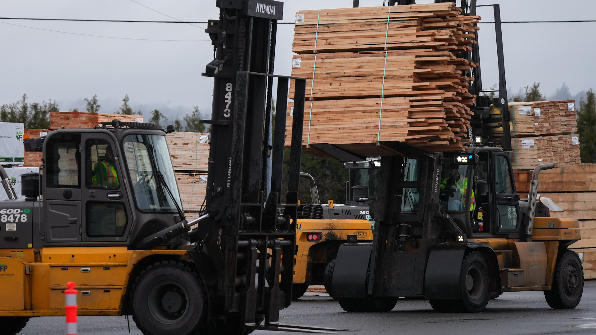 Trump puts 10 per cent tariff on lumber producers