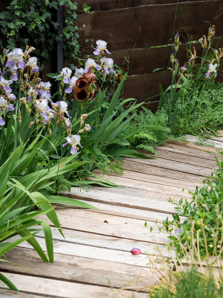 8 Cheap DIY Garden Path Ideas You’ll Want to Copy