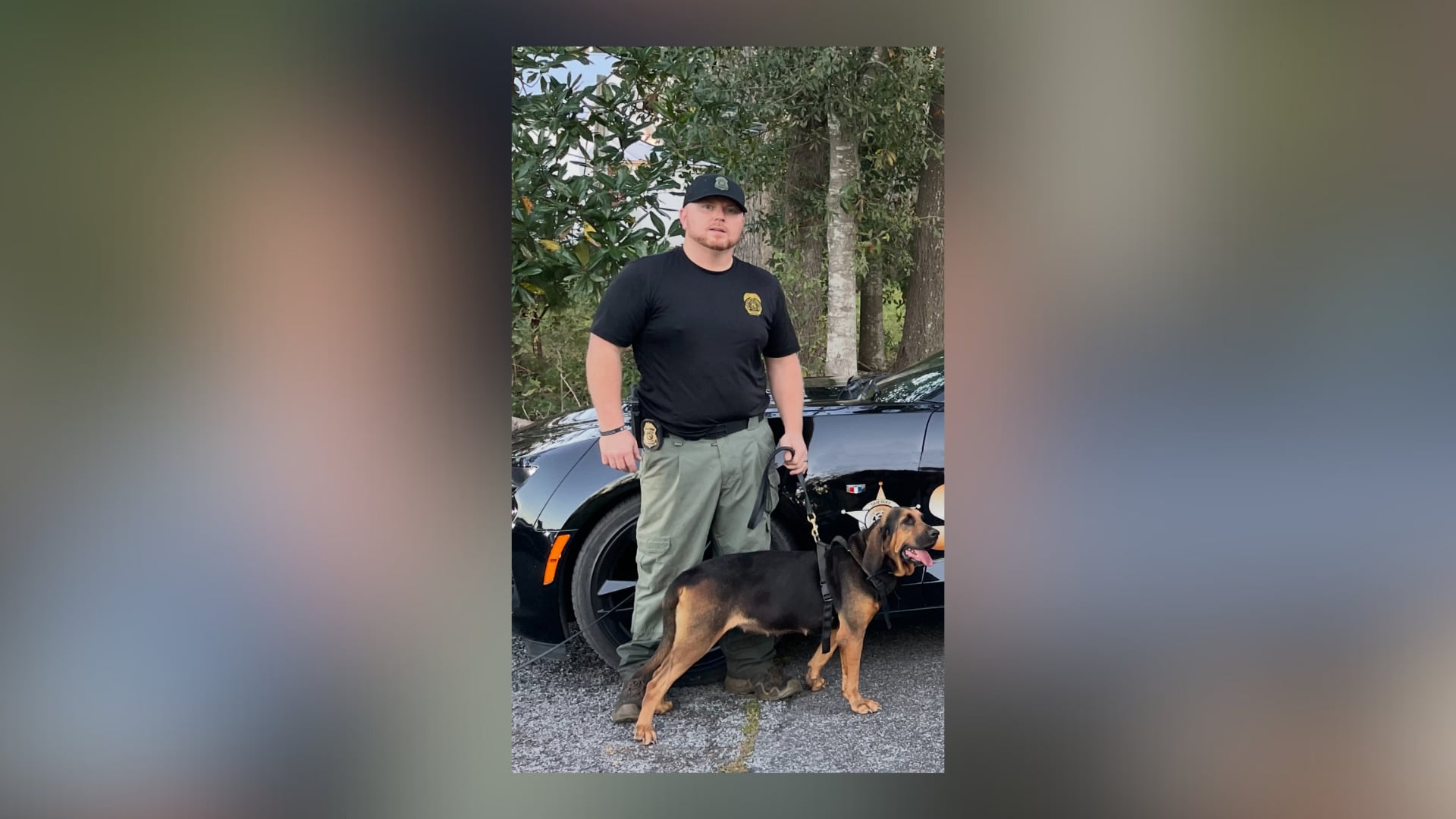 Georgia Dept. of Corrections officer injured, K9 dies in car crash